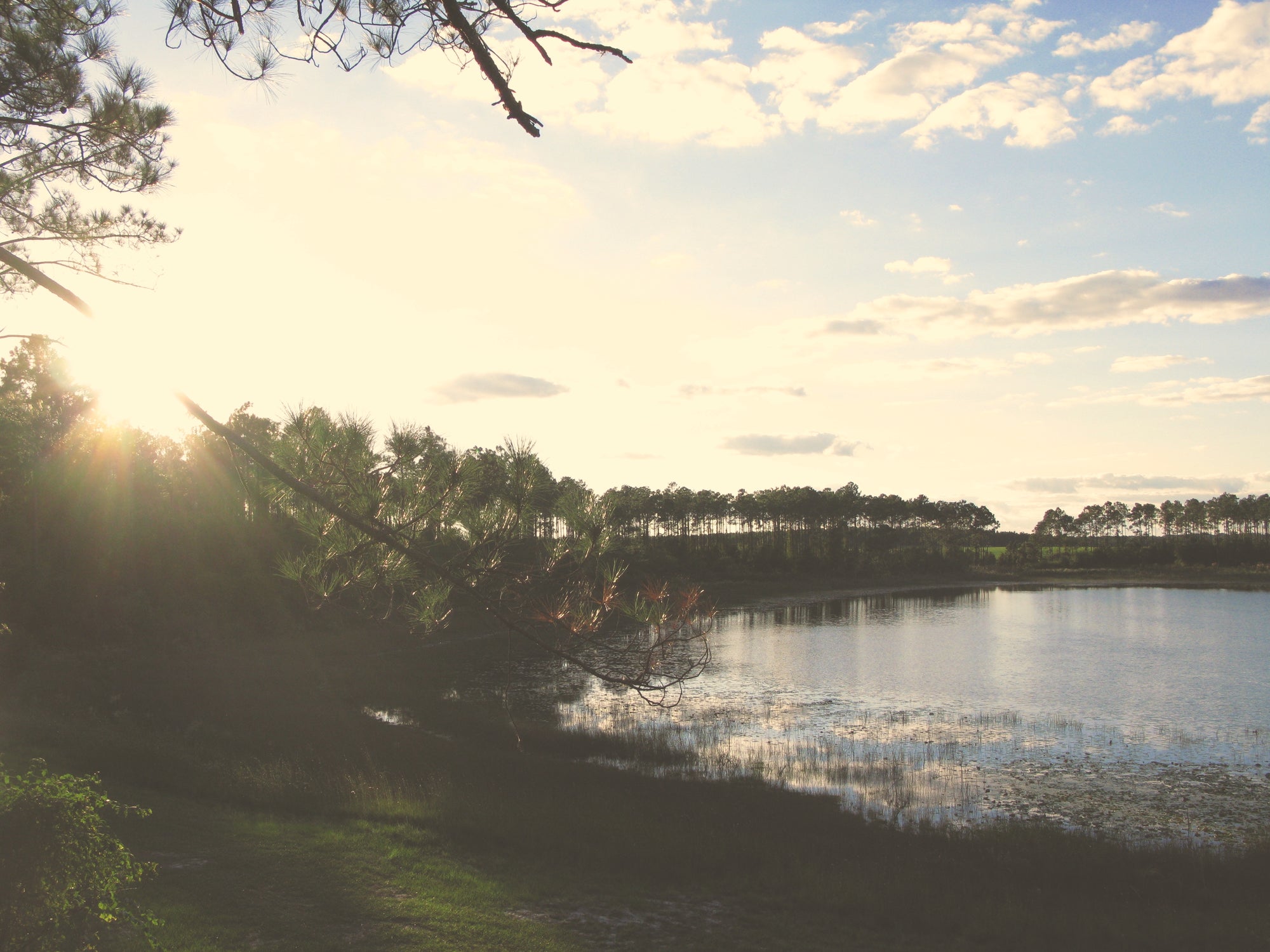 Uncle Pappy's Trading Post